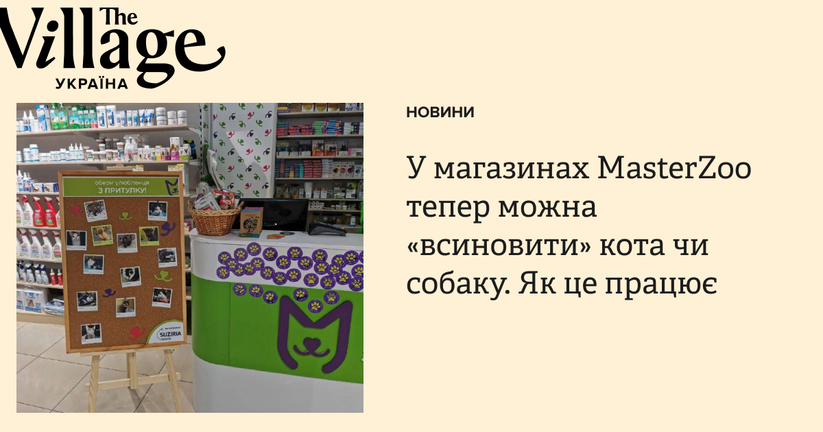 У магазинах MasterZoo тепер можна «всиновити» кота чи собаку. Як це ...